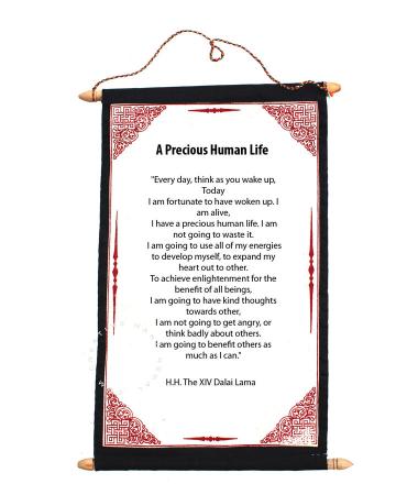 A precious human life Dalai Lama Quotes | Creativehand Nepal