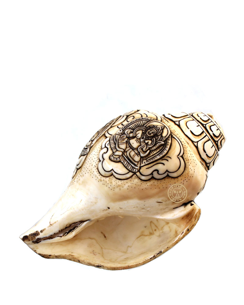 Carved Tara Conch Shankha | Creativehand Nepal