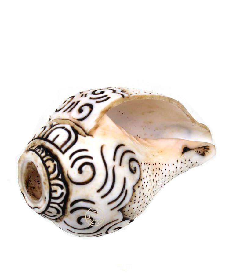 Ganesh Carving Conch Shell | Creativehand Nepal