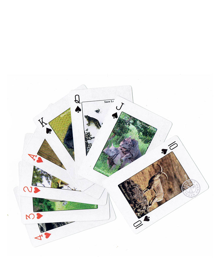 Playing Cards Wildlife of Nepal | Creativehand Nepal