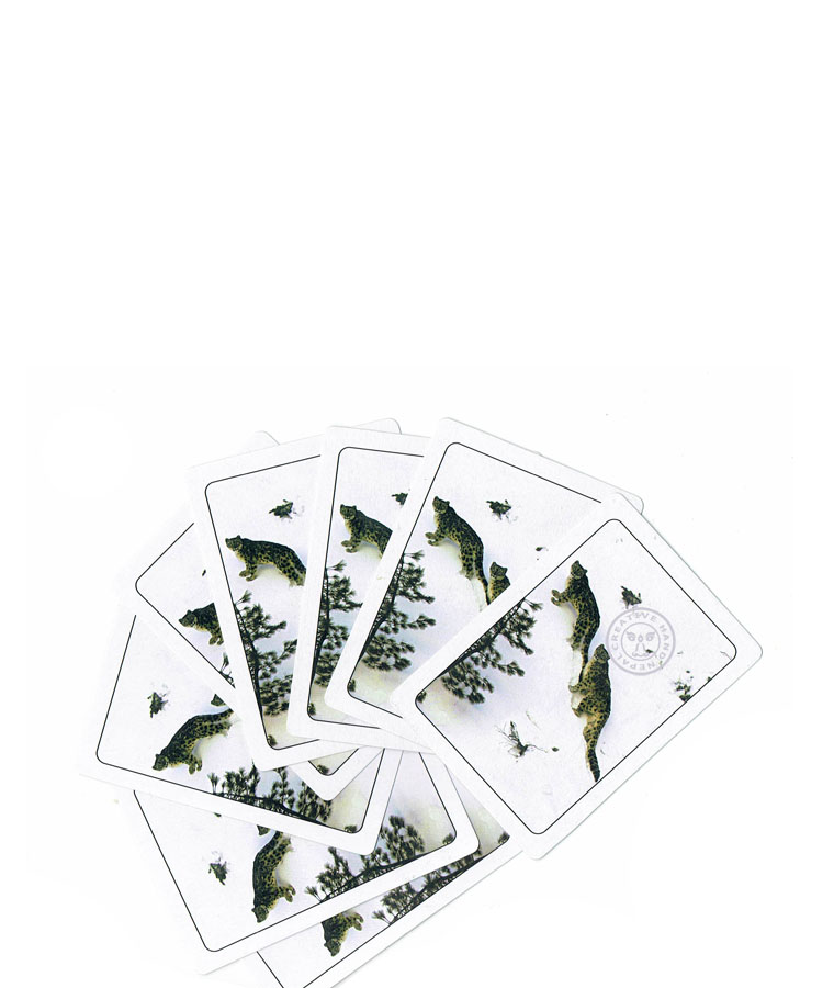 Playing Cards Wildlife of Nepal | Creativehand Nepal